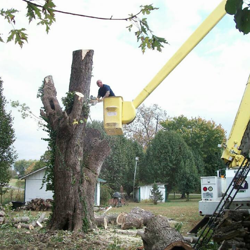 Home - New Horizon Tree Service